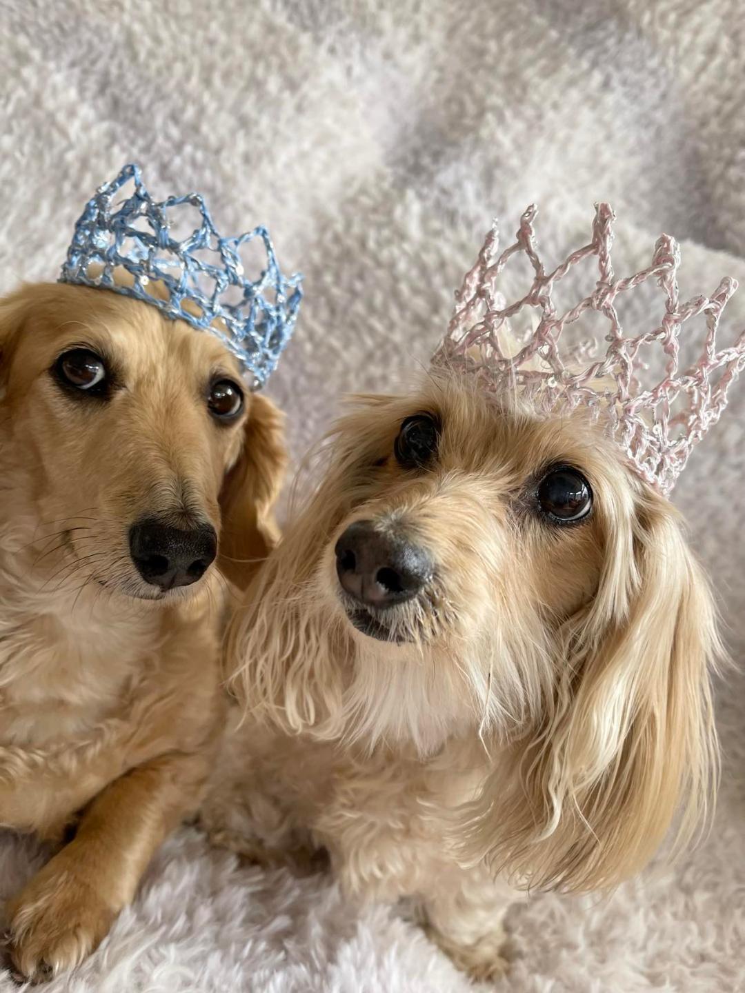 Where do my ideas come from? – Lost Art Crochet MA